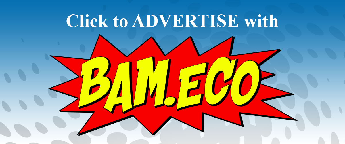 BAM is the MALL of the FUTURE!